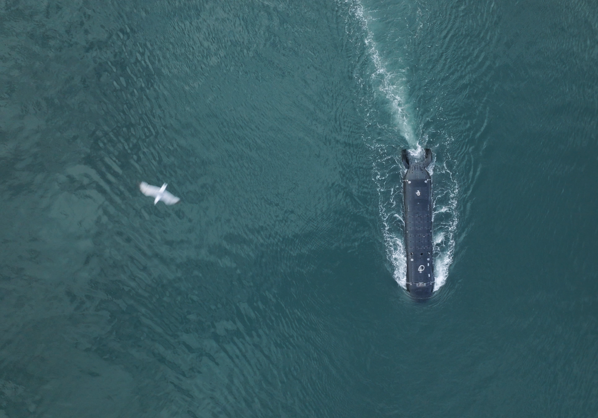 CETUS - Marine AI Ltd